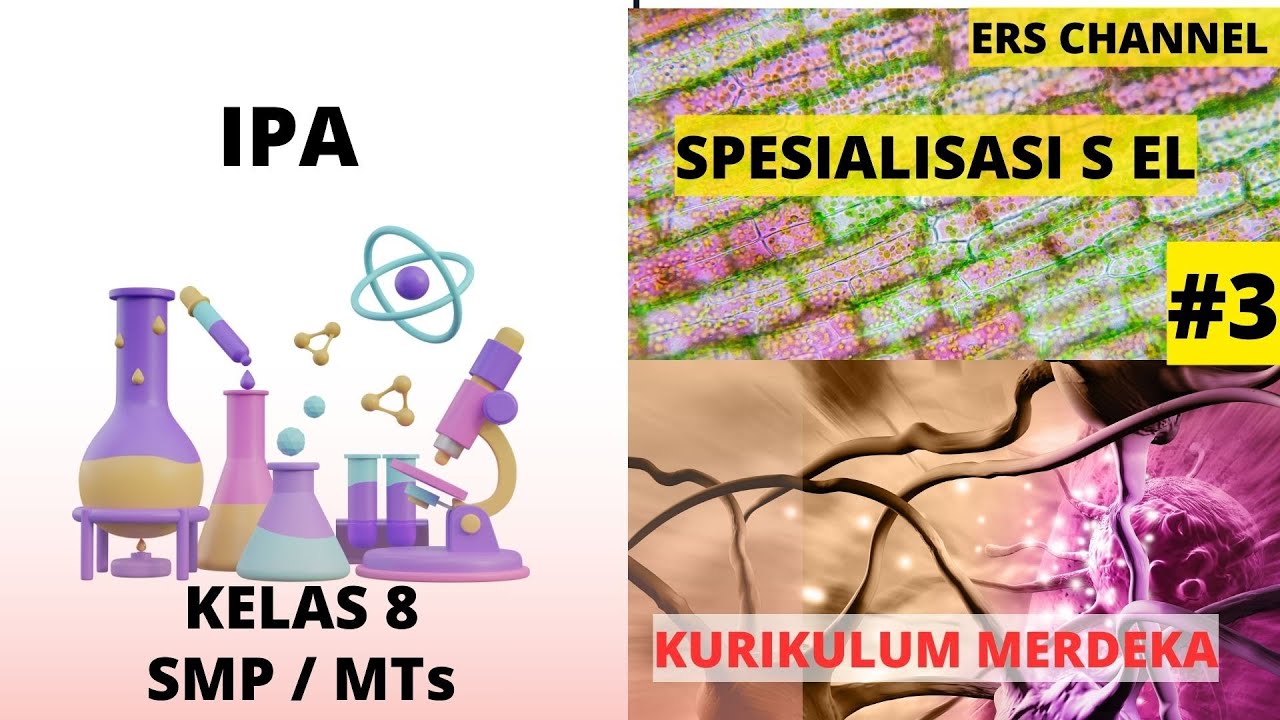 PENGENALAN SEL | SPESIALISASI SEL | IPA KELAS 8| KURIKULUM MERDEKA ...