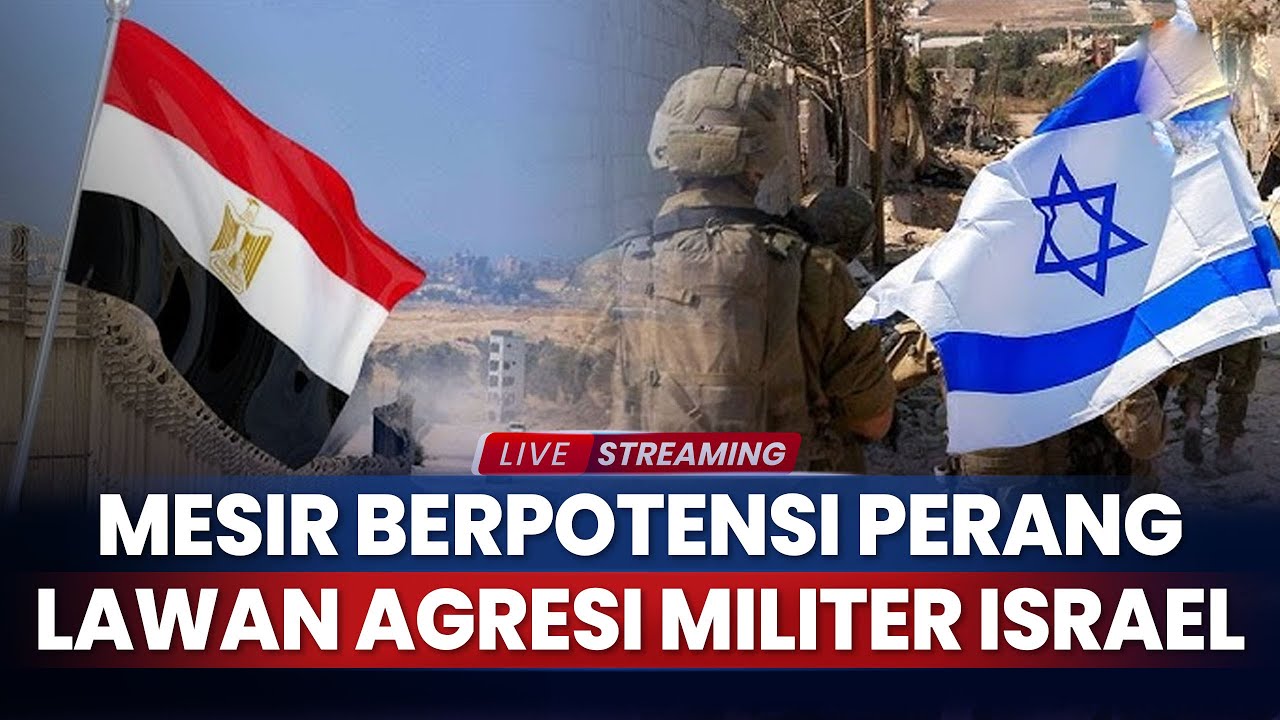 Mesir Berpotensi Perang Lawan Agresi Militer Israel - YouTube