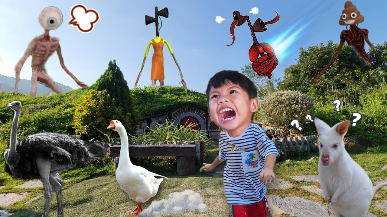 เจ้าเปา พาทัวร์ อัลปาก้าฮิลล์ alpaca hill สวนผึ้ง ราชบุรี ep.full ...