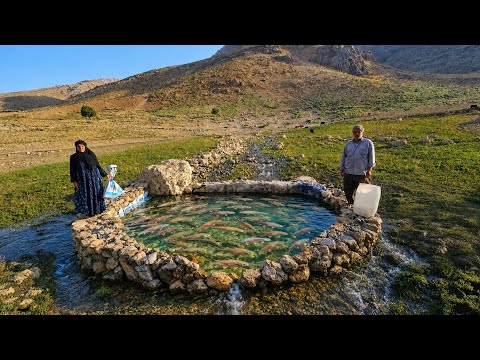Viață nomadă departe de civilizație | Construirea de iazuri și creșterea peștilor în Munții Zagros🏞🐟