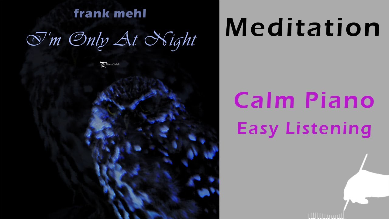"I'm Only At Night" (Night Owl Remix) - relaxing music by frank mehl ...