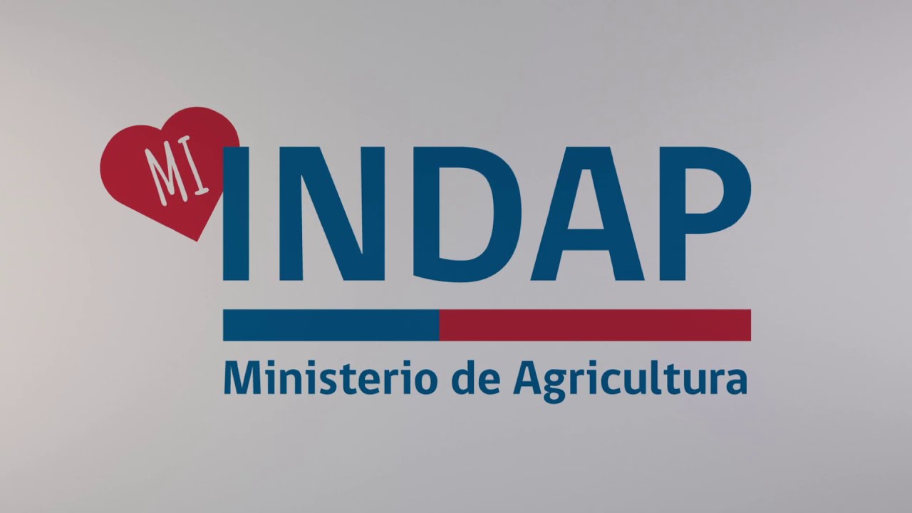 Conoce #MiINDAP - YouTube