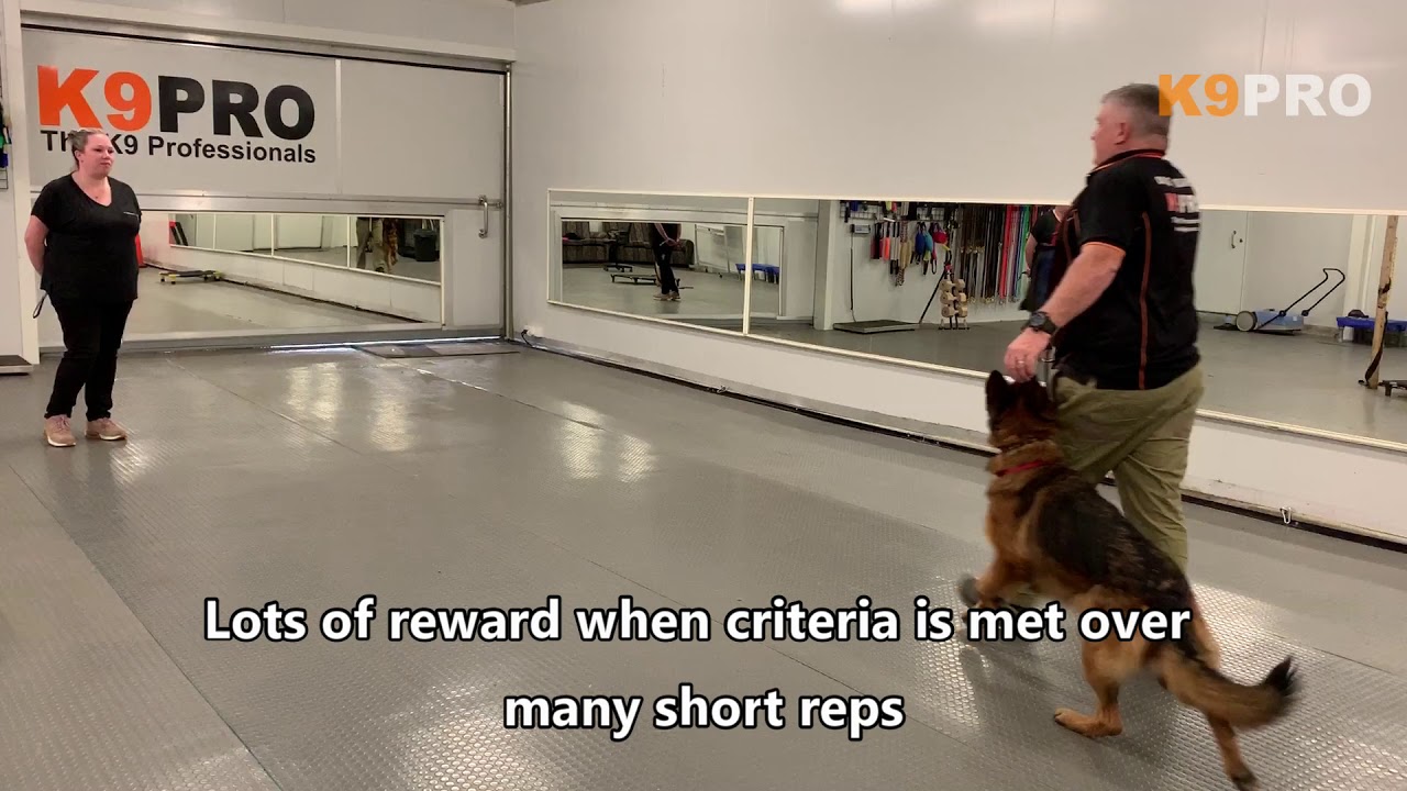 Heeling first steps of movement - YouTube