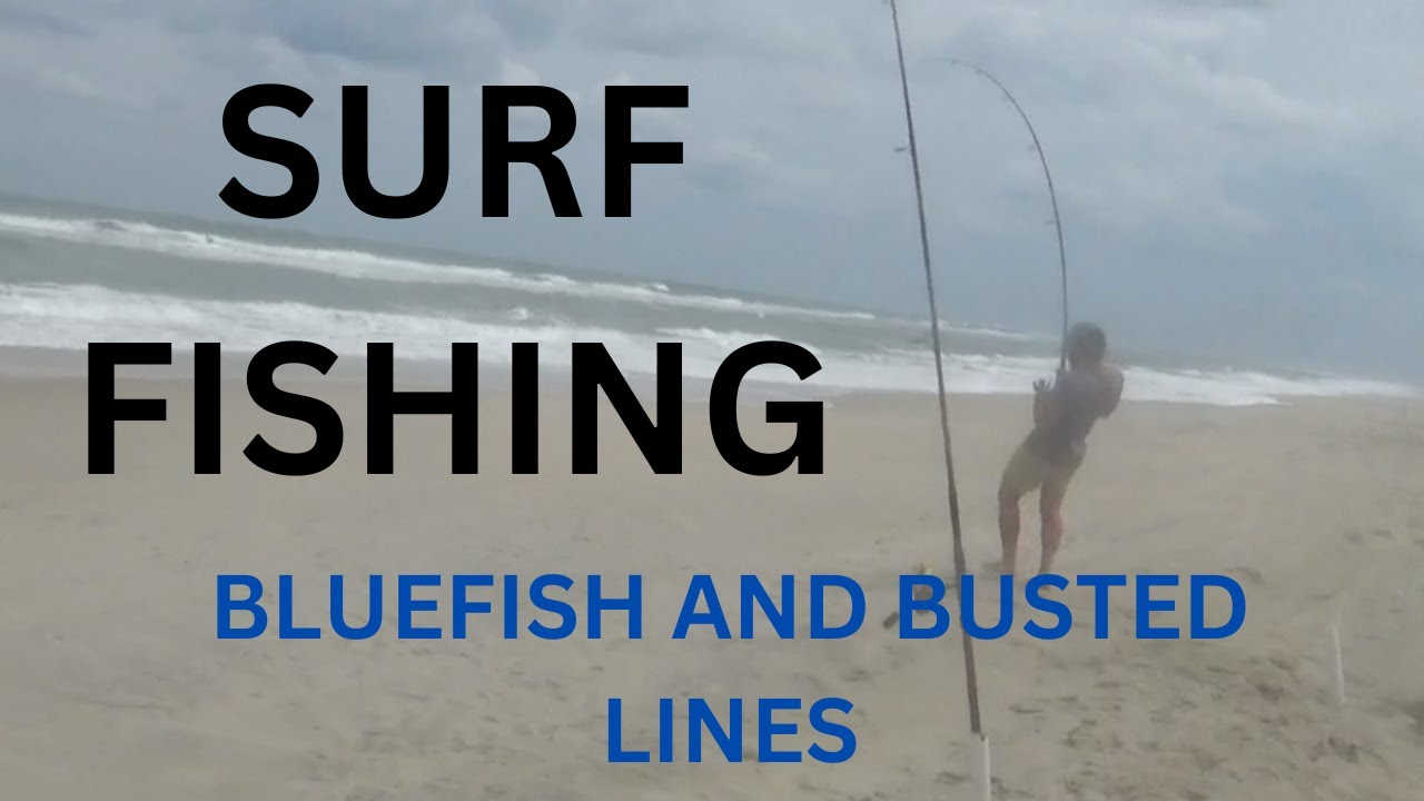 BLUEFISH AND BUSTED LINES - YouTube