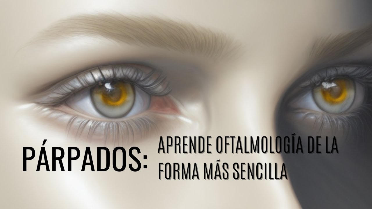 Párpados: "Una guía completa para tu lección de oftalmología" - YouTube