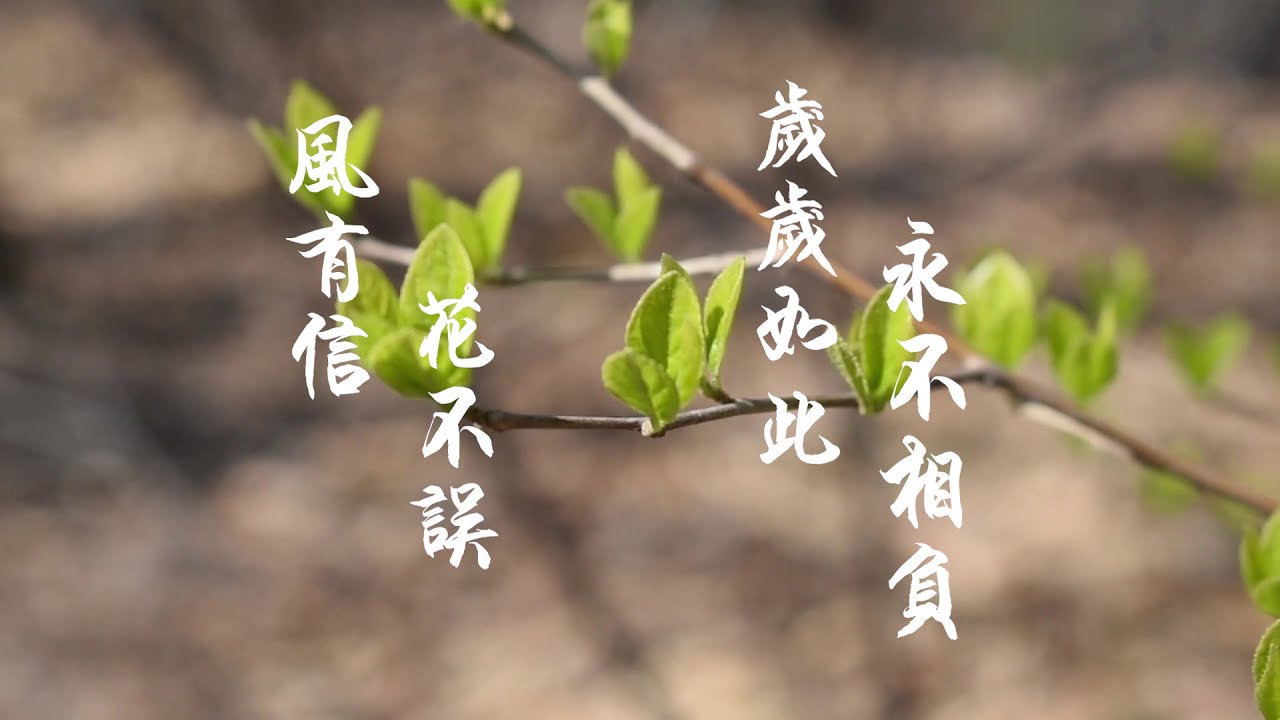 【24 Solar Terms】1. Lichun: Beginning of Spring 立春 | Learn Authentic ...