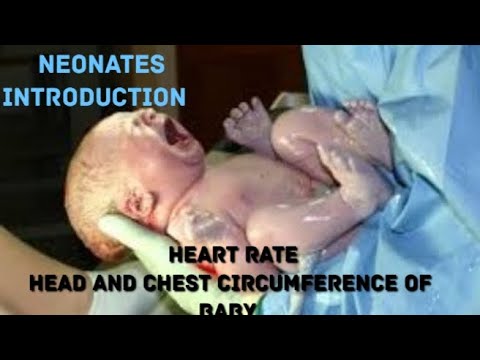 NEONATES INTRODUCTION #pediatrics #bscnursing #neonates #medical - YouTube
