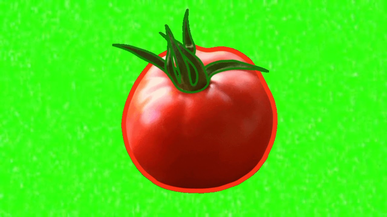 Green Screen Animasi Tomat Bergerak / Tomato Green Screen Animated ...