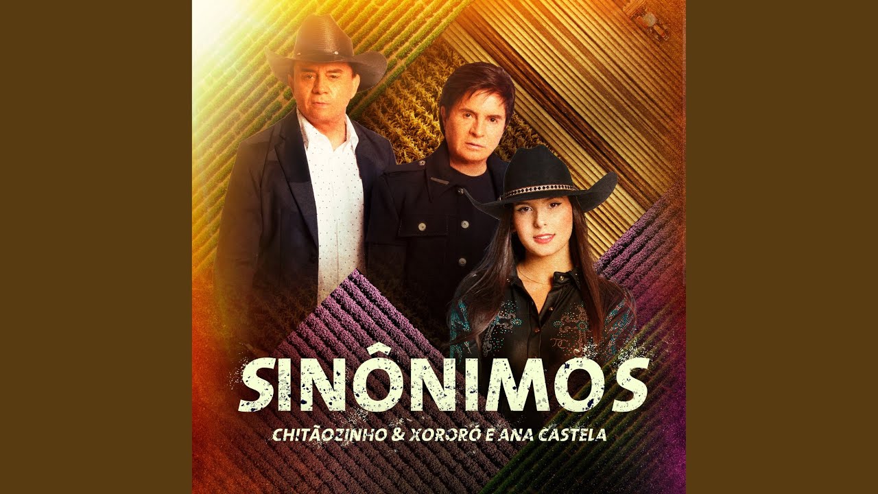 Sinônimos - YouTube Music