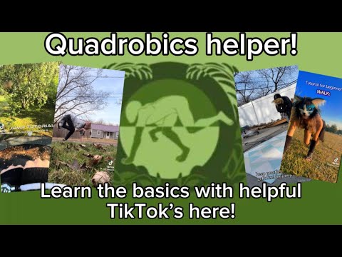 Quadrobics helper! Learn Quadrobics, complete beginner practice guide ...