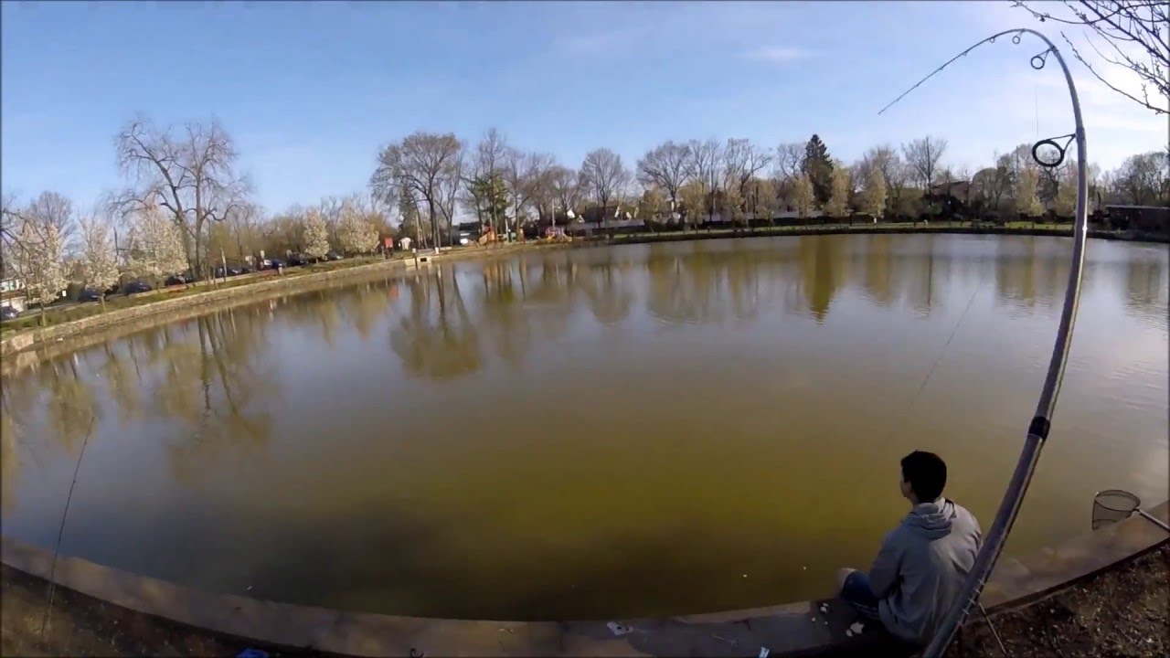 Spring Topwater Carp Fishing - YouTube