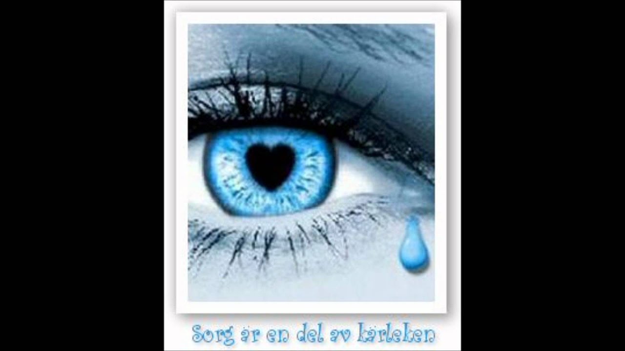 Pidde - 513131 - YouTube Music