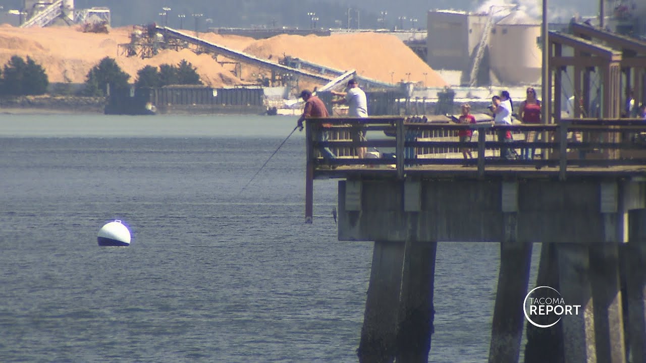 Tacoma Report-Les Davis Pier-May 16, 2020 - YouTube