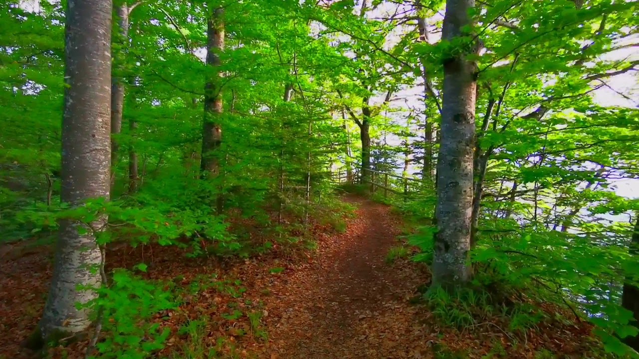 Heimbergflueh Heimberg, Switzerland - YouTube