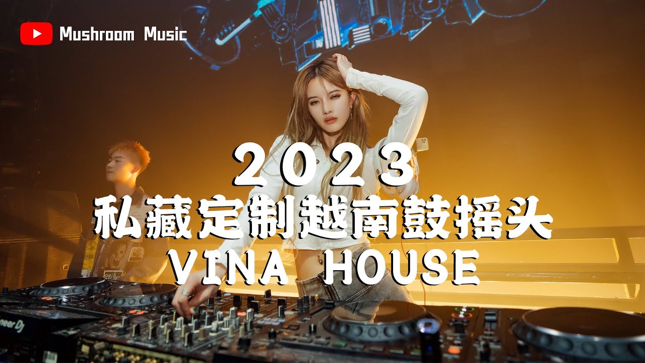 定制越南鼓摇头Vina House Remix💥根本停不下来 tiktok抖音 2023 马来西亚三本KTV 科目三 - YouTube