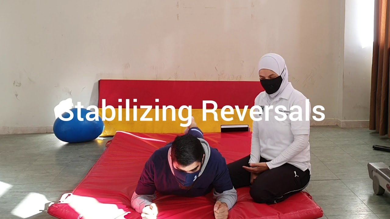 Prone-on-Elbows Stability: Stabilizing Reversals & Rhythmic ...