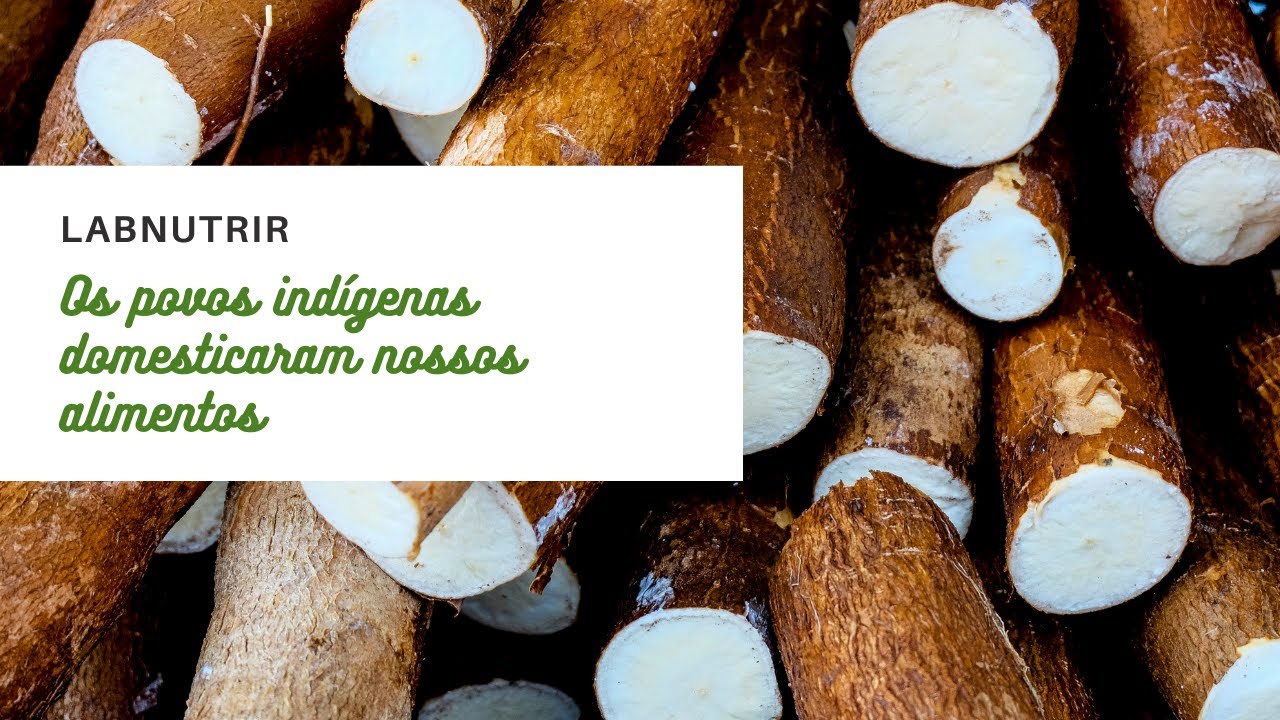 Os povos indígenas domesticaram nossos alimentos - YouTube