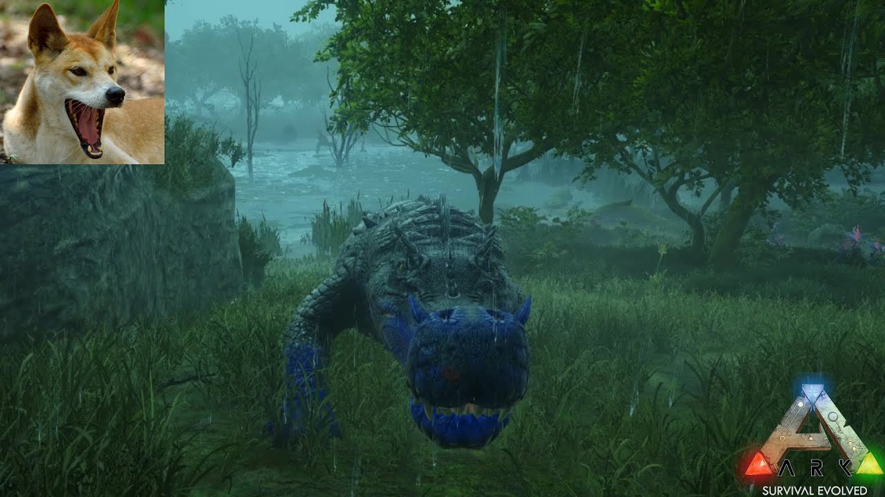Dingo VS Swamp (Ark Survival Evolved) - YouTube