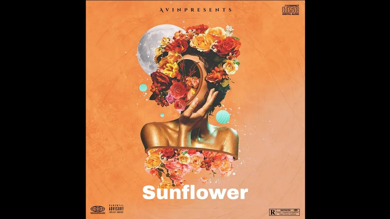 [SOLD] Melodic Type Beat - SUNFLOWER | Acoustic Guitar Type beat (prod ...