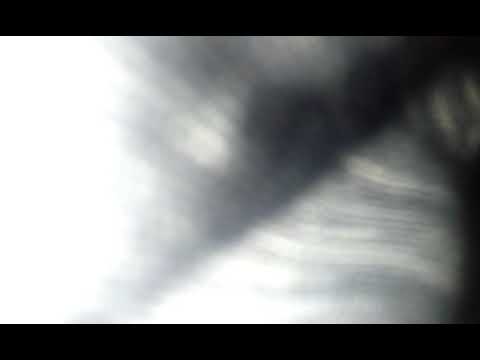 28 октября 2019 г.