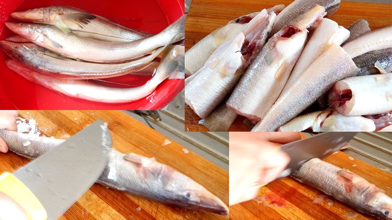 ছুরি দিয়ে তুলার ডান্ডি মাছ কাটার সহজ উপায় || Easy way to cutting ...