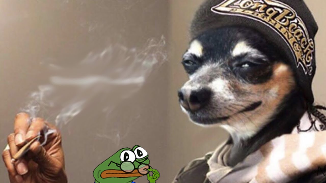 Guess who's back? (Devine qui est de retour?) (Adivina quién ha vuelto ...