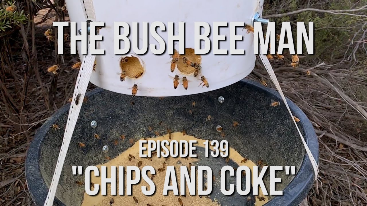 How to Make a Pollen Feeder - The Bush Bee Man - YouTube