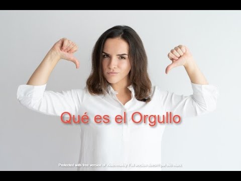Qué_es_el_Orgullo - YouTube