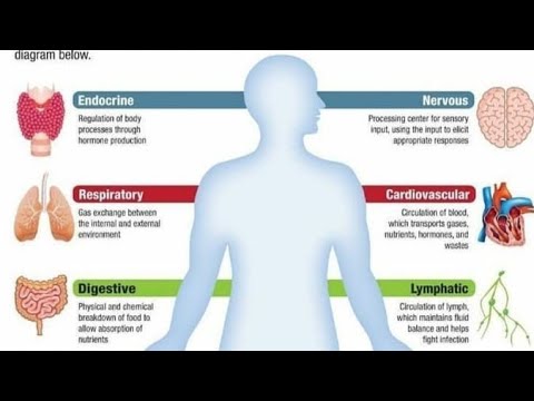12 Organ systems of human body #human #system physiology explanation of ...