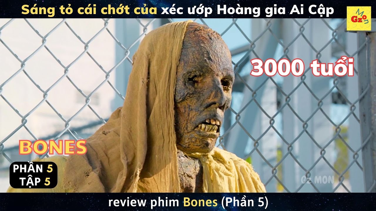 Sáng tỏ cái chớt của xéc ướp Hoàng gia Ai Cập | review phim Bones (Phần ...