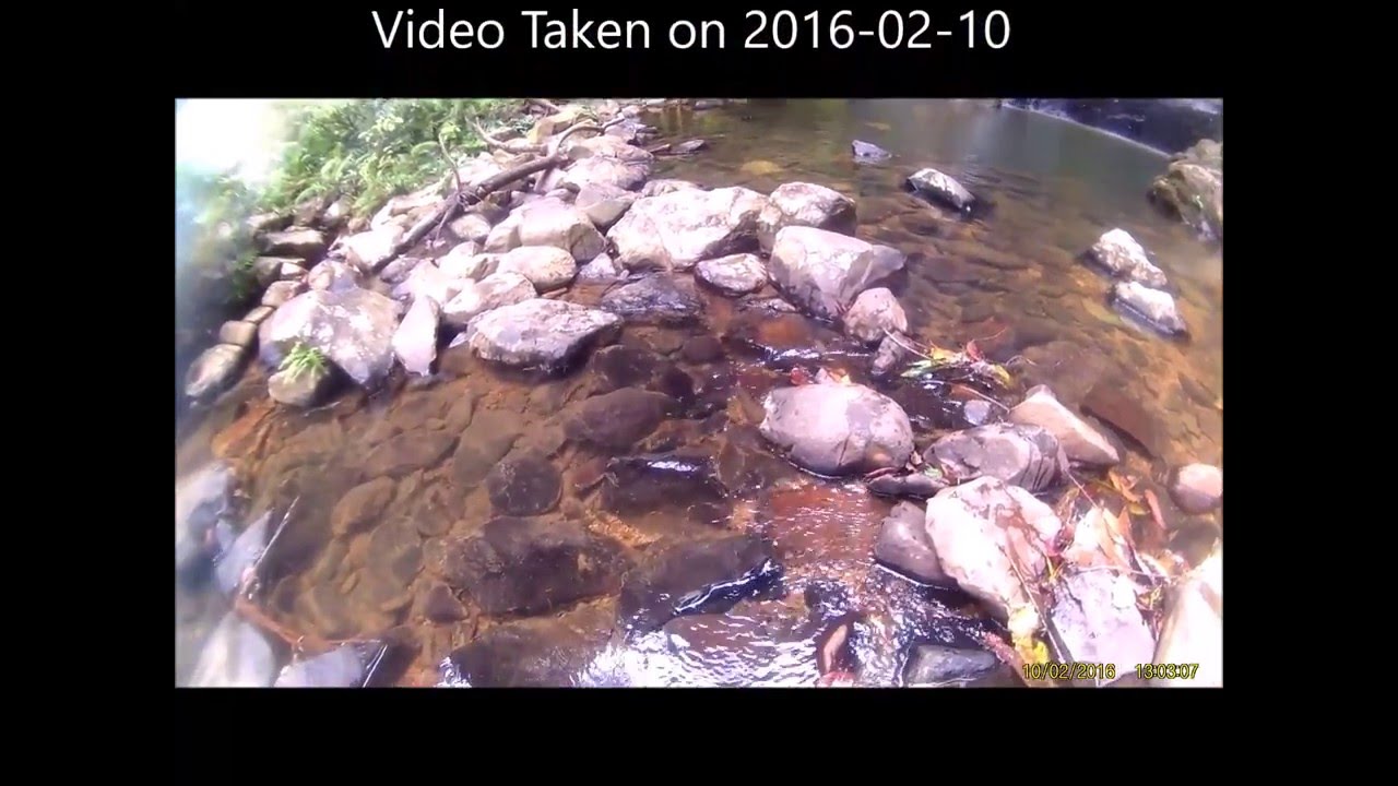 Bukit Gelas Waterfall of Tawau Hills Park - YouTube