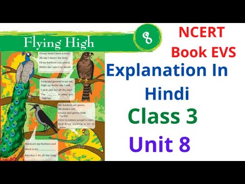 Flying High | Unit 8 | EVS Looking Around | Class 3 | NCERT BOOK 3 ...
