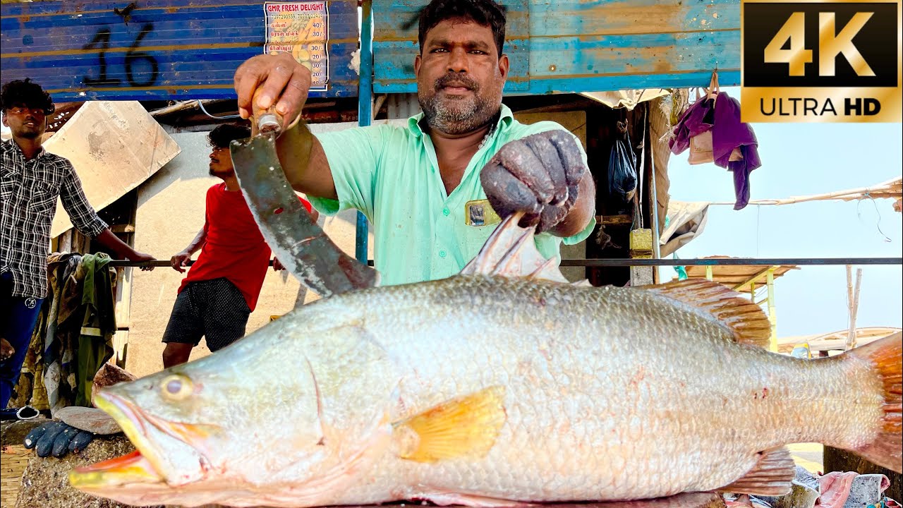 Koduva fish cutting video/fishcuttingrs#fishcuttingrs #kasimedu #fish ...