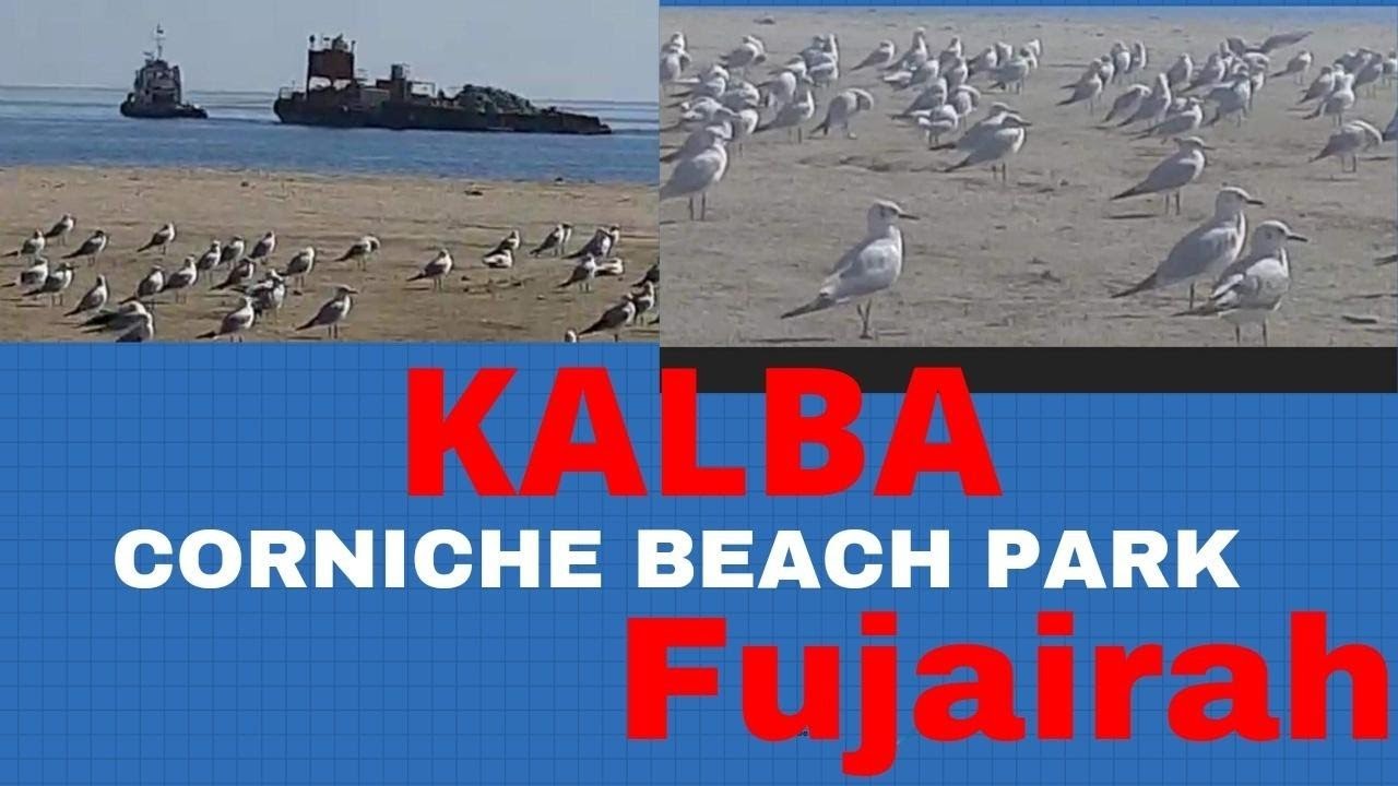 Kalba Corniche Park Fujairah|Fujairah Beach|Life with nasir - YouTube