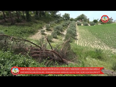VALİ YILMAZ, ŞİDDETLİ YAĞMUR NEDENİYLE ZARAR GÖREN OSMAN SAVRUN’A AİT KONTEYNERİ İNCELEDİ