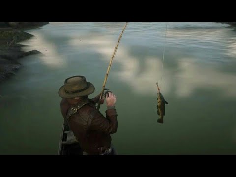 Reeling In The Legendary Bullhead Catfish - Red Dead Redemption 2 - YouTube