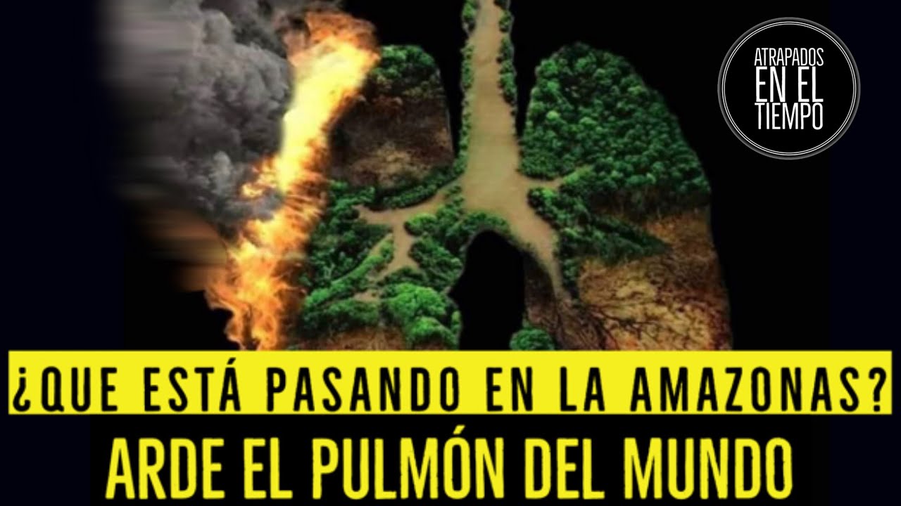 ARDE EL PULMON DEL MUNDO ¿QUE PASA EN AMAZONAS? #PrayForAmazonas - YouTube