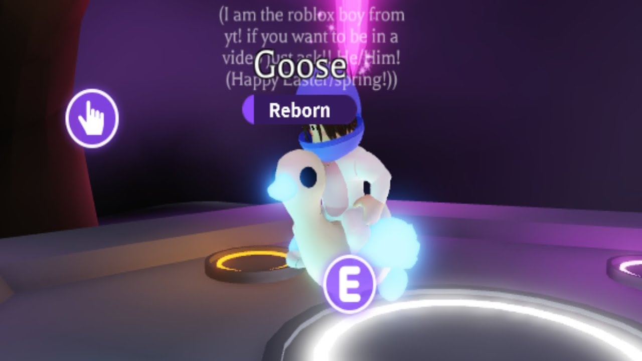 I made the first ever neon goose in Adopt Me Roblox!!! I DID IT!! YAY ...