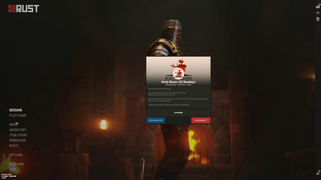 Bear Live Stream - YouTube