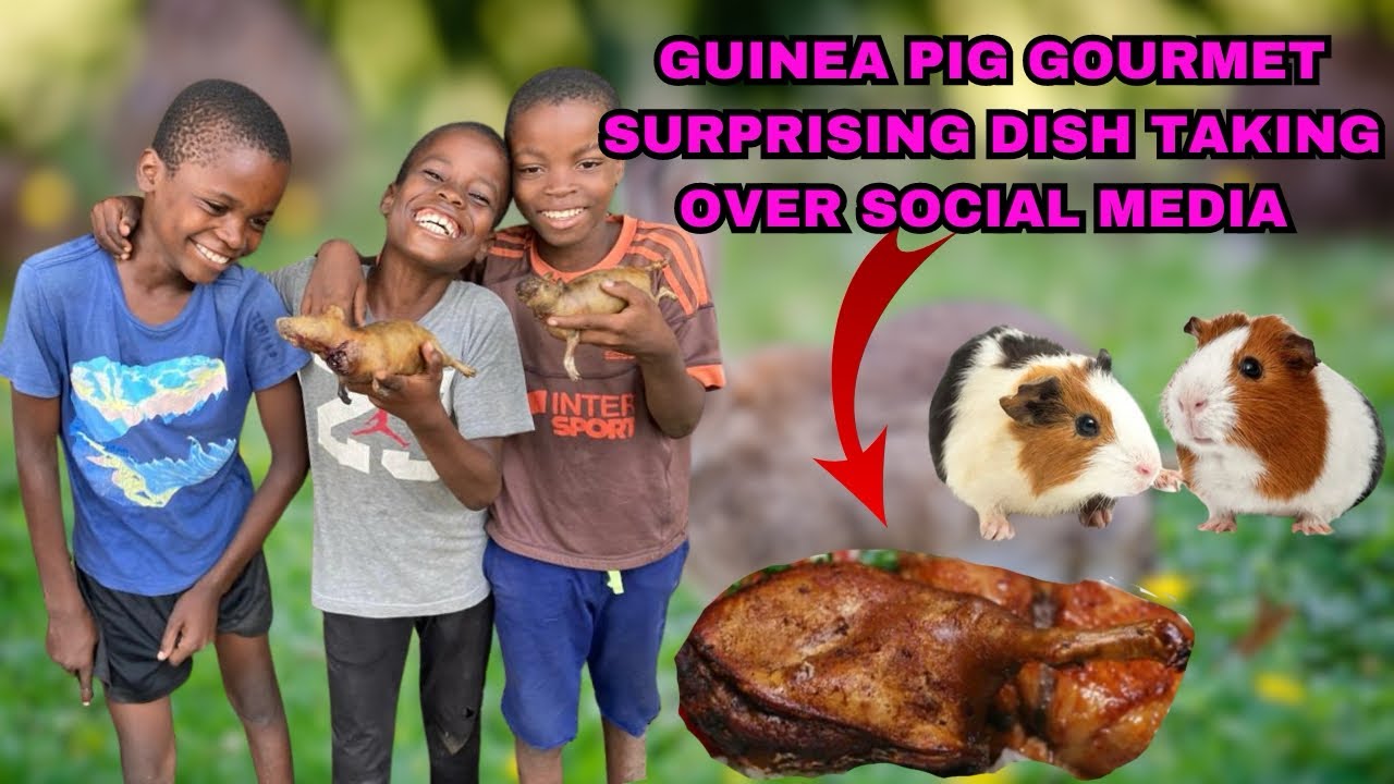 HAITIAN FOOD🇭🇹| Guinea Pig Gourmet: The Surprising Dish Taking Over ...