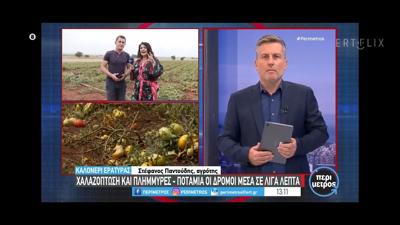ΡΕΠΟΡΤΑΖ ΕΡΤ3 ΓΙΑ ΖΗΜΙΕΣ ΣΕ ΚΑΛΛΙΕΡΓΕΙΕΣ ΒΟΙΟΥ ΑΠΟ ΧΑΛΑΖΙ-ΔΕΣΠΟΙΝΑ ...