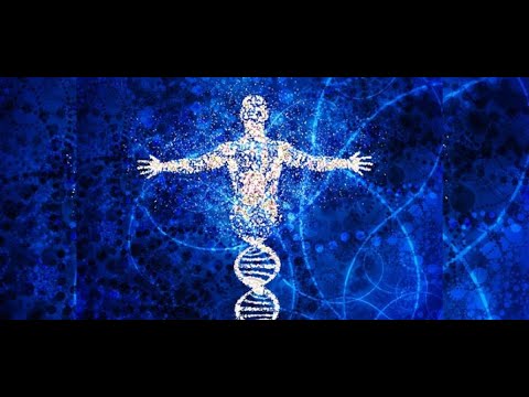 Gene Conversion and Y Chromosome Prove Biblical Creation - YouTube