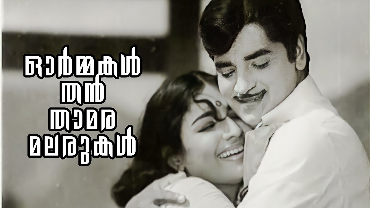 Ormakal Than Thamara | Kalachakram | Prem Nazeer | Yesudas | Devarajan ...
