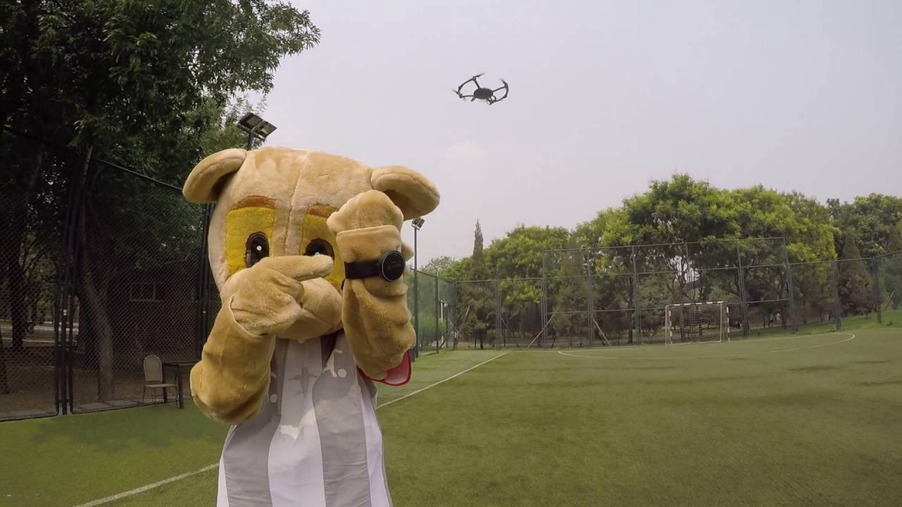 Skye Orbit // Follows anything, even Little Kickers! - Skye ...