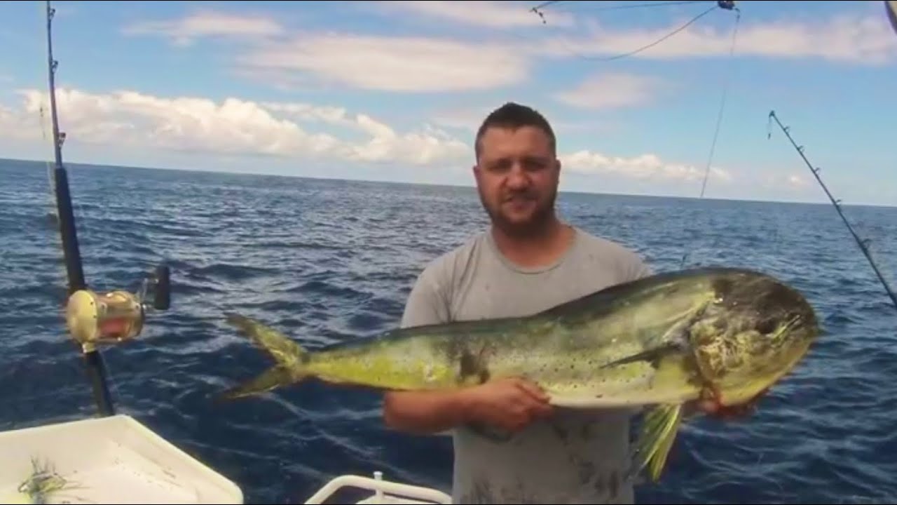Big Mahi Mahi Sydney Wide FAD - YouTube