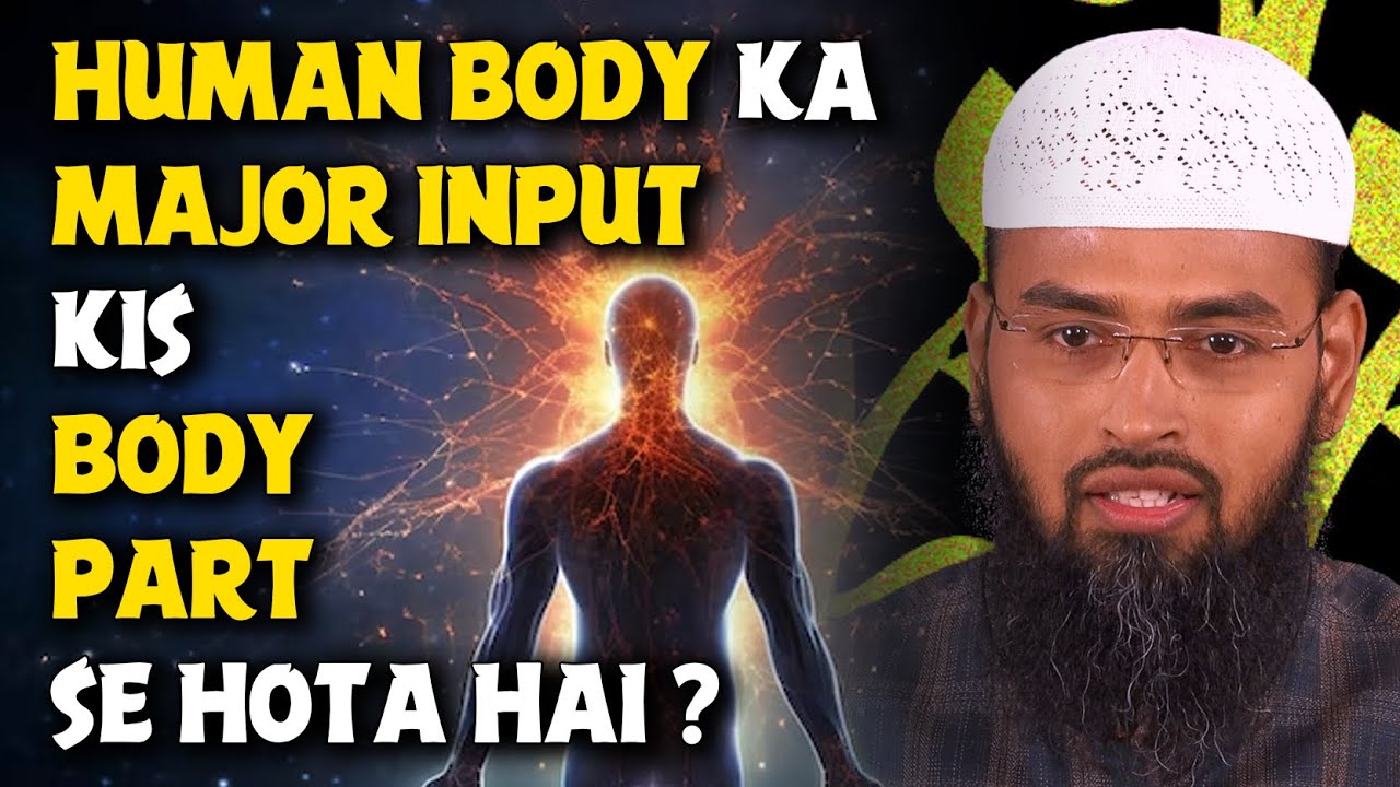 Human Body Ka Major Input Kis Body Part Se Hota Hai ? By Adv. Faiz Syed ...