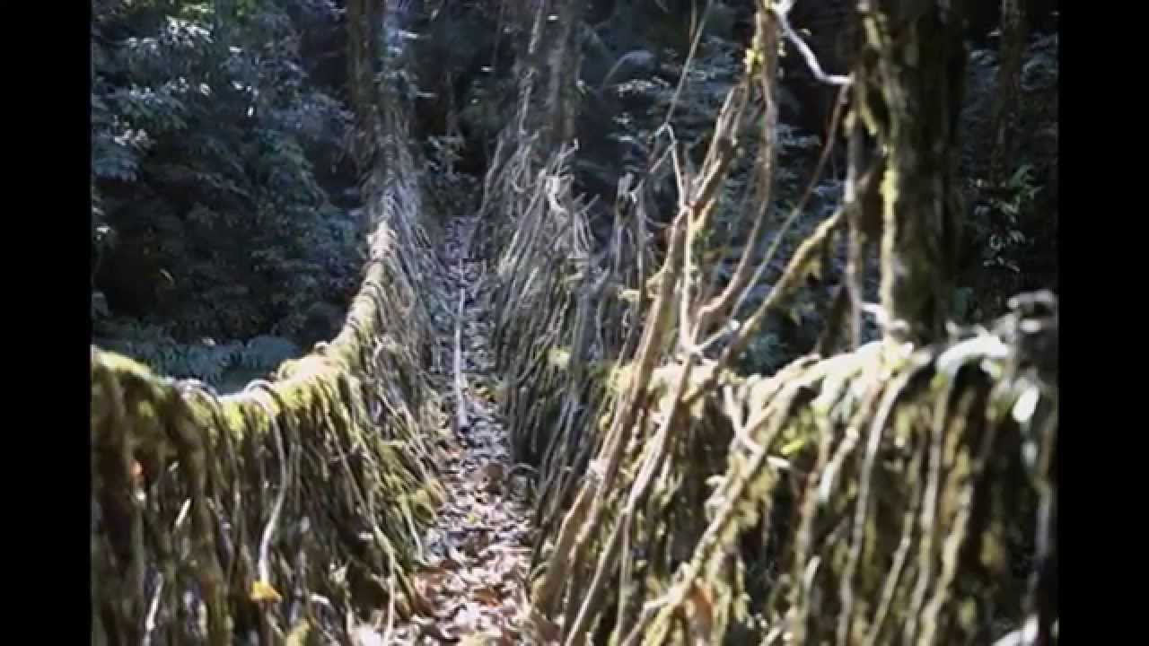 15 Of The Craziest, Most Epic, And Most Terrifying Bridges In The World ...