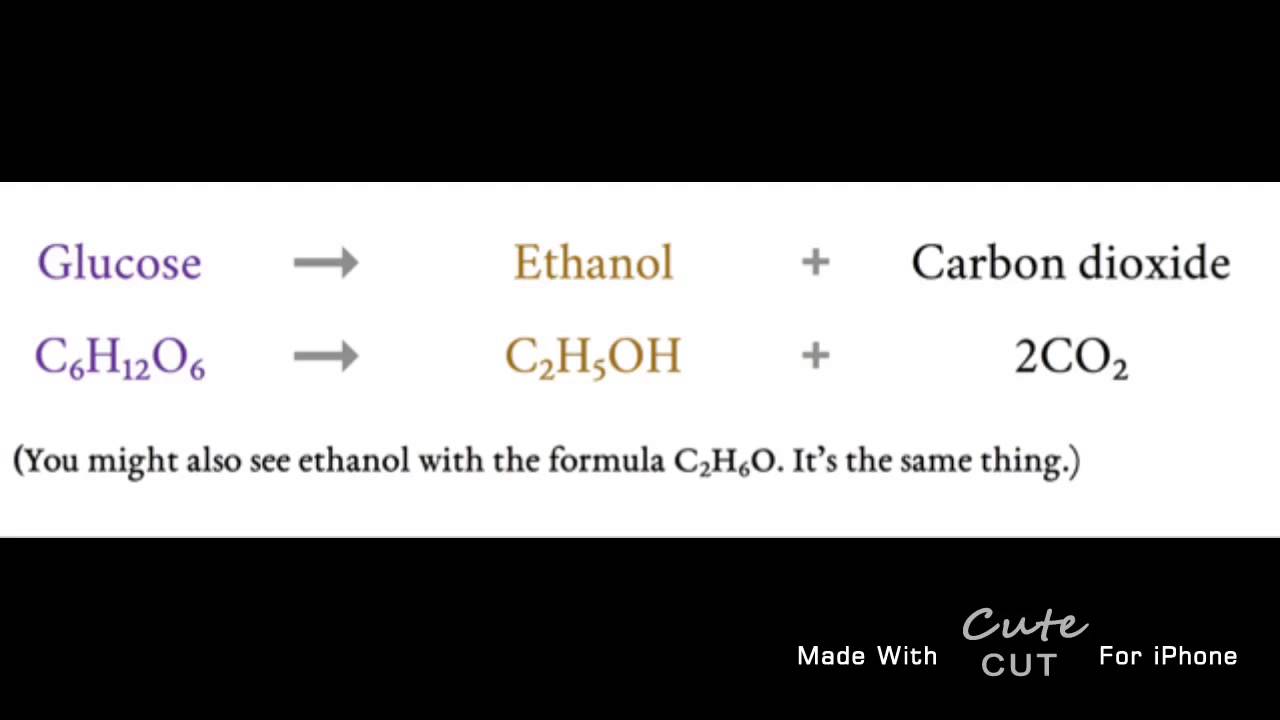 CHEMISTRY OF BAKING BREAD! - YouTube