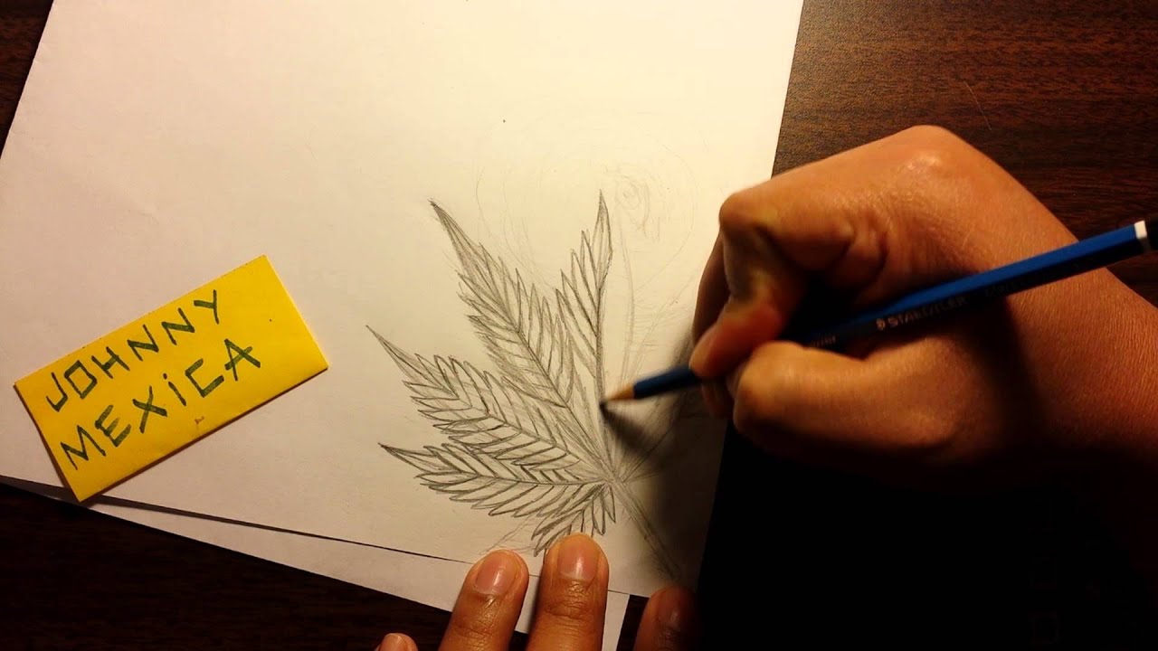 How to draw a weed leaf - YouTube