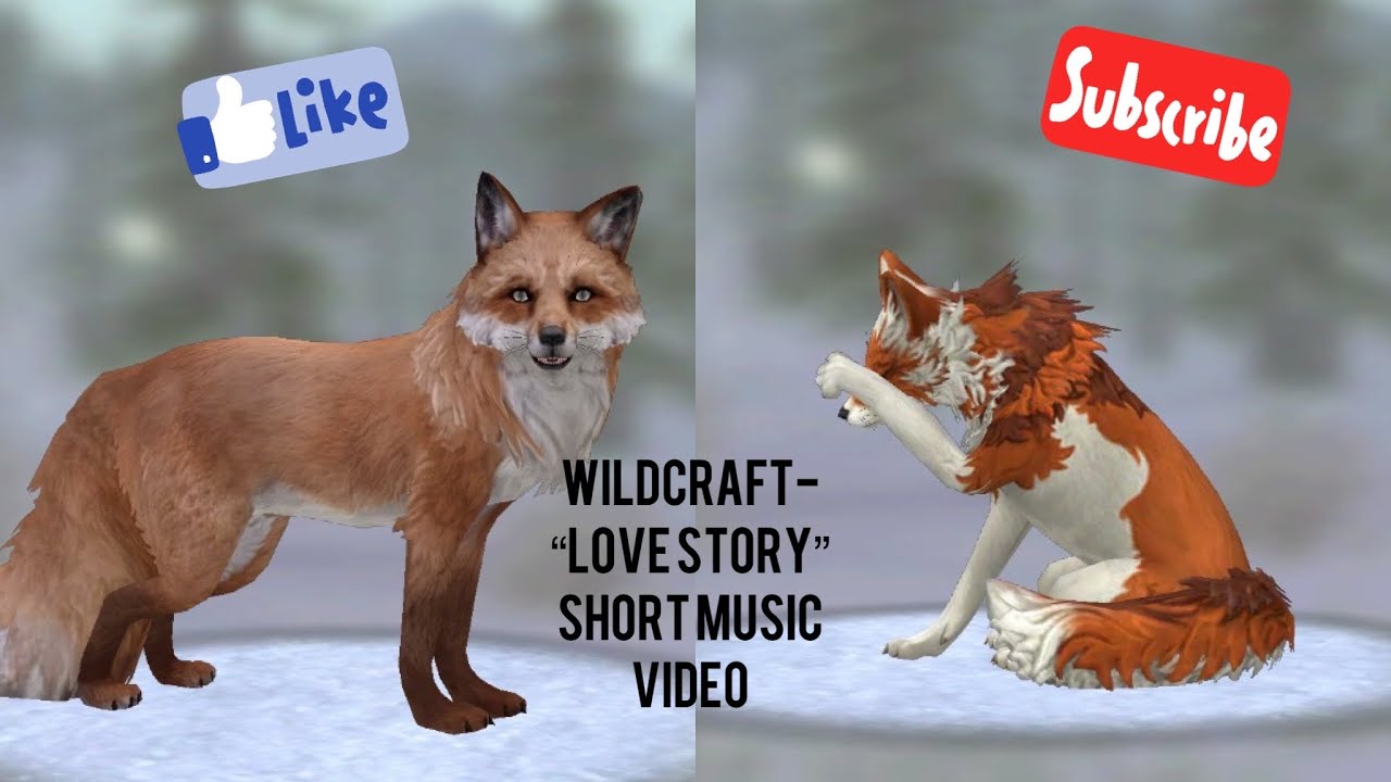 Wildcraft- Love Story - YouTube